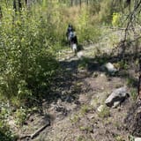 North Fork Big Thompson River Trail Via Dunraven Trailhead, Colorado ...