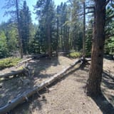 North Fork Big Thompson River Trail Via Dunraven Trailhead, Colorado ...
