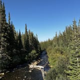 Mitchell Lake Trail, Colorado - 629 Reviews, Map | AllTrails