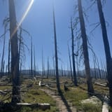 CDT Section 74: Buffalo Pass to North Lake, Colorado - 4 Reviews, Map ...