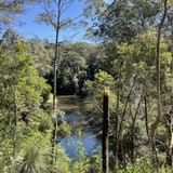Lane Cove Riverside Walk, New South Wales, Australia - 1,776 Reviews ...