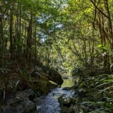 Coomera Circuit Walk, Queensland, Australia - 1,395 Reviews, Map ...