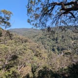 Coomera Circuit Walk, Queensland, Australia - 1,395 Reviews, Map ...