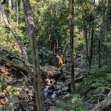 Coomera Circuit Walk, Queensland, Australia - 1,395 Reviews, Map ...