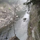 Quechee Gorge Trail, Vermont - 1,209 Reviews, Map | AllTrails