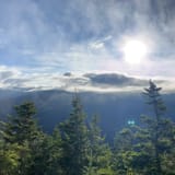 Mount Tom, Mount Field, Mount Willey and Mount Avalon Trail, New ...