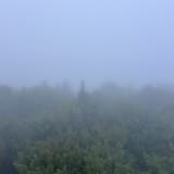 Mount Arab Trail, New York - 2,592 Reviews, Map | AllTrails