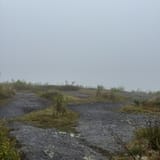 Haystack Mountain Trail, Maine - 303 Reviews, Map | AllTrails