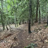 Haystack Mountain Trail, Maine - 292 Reviews, Map | AllTrails