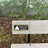 Hoye Crest (Backbone Mountain), West Virginia - 640 Reviews, Map ...