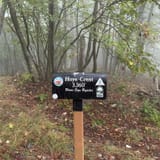 Hoye Crest (Backbone Mountain), West Virginia - 640 Reviews, Map ...