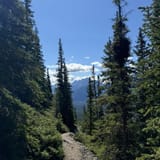 Lady Macdonald Teahouse, Alberta, Canada - 2,077 Reviews, Map | AllTrails