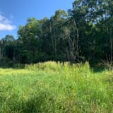 Crahen Valley Park Loop, Michigan - 1,805 Reviews, Map | AllTrails