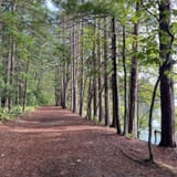 Haggetts Rail Trail to Haggetts Pond, Massachusetts - 409 Reviews, Map ...