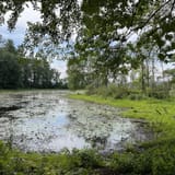 Haggetts Rail Trail to Haggetts Pond, Massachusetts - 409 Reviews, Map ...