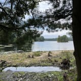 Haggetts Rail Trail to Haggetts Pond, Massachusetts - 409 Reviews, Map ...