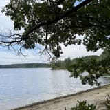 Haggetts Rail Trail to Haggetts Pond, Massachusetts - 409 Reviews, Map ...