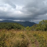 Siler Bald via Appalachian Trail, North Carolina - 818 Reviews, Map ...