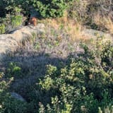 Halibut Point Trail, Massachusetts - 1,514 Reviews, Map | AllTrails