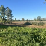 Busse Woods Loop Trail, Illinois - 2,969 Reviews, Map | AllTrails