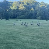 Busse Woods Loop Trail, Illinois - 2,969 Reviews, Map | AllTrails