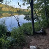Gold Branch Trail, Georgia - 2,844 Reviews, Map | AllTrails
