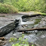 Stepstone Falls via Ben Utter Trail, Rhode Island - 1,650 Reviews, Map ...