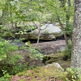 Stepstone Falls via Ben Utter Trail, Rhode Island - 1,650 Reviews, Map ...