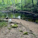 Stepstone Falls via Ben Utter Trail, Rhode Island - 1,650 Reviews, Map ...
