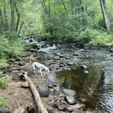 Stepstone Falls via Ben Utter Trail, Rhode Island - 1,612 Reviews, Map ...