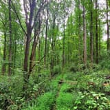 Morgan Run Natural Environmental Area Trails, Maryland - 412 Reviews ...