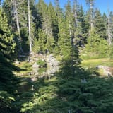 Pinnacle Lake Trail, Washington - 344 Reviews, Map | AllTrails