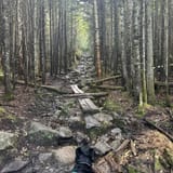 Cascade Brook Trail to Lonesome Lake, New Hampshire - 803 Reviews, Map ...