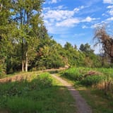 Puyallup Loop Trail, Washington - 1,414 Reviews, Map | AllTrails