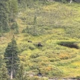 Spruce Creek Loop, Colorado - 1,975 Reviews, Map | AllTrails