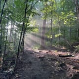 Mount Arab Trail, New York - 2,592 Reviews, Map | AllTrails