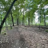 Tobico Marsh Trail, Michigan - 648 Reviews, Map | AllTrails