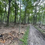 Tobico Marsh Trail, Michigan - 648 Reviews, Map | AllTrails