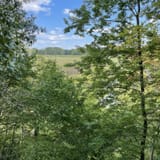 Tobico Marsh Trail, Michigan - 648 Reviews, Map | AllTrails