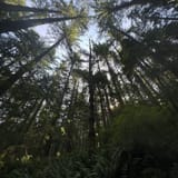 West Tiger #3, Washington - 5,578 Reviews, Map | AllTrails