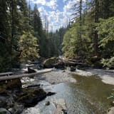 Staircase Rapids Loop, Washington - 3,077 Reviews, Map | AllTrails