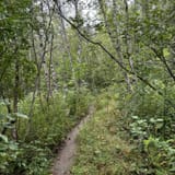 Haystack Mountain Trail, Maine - 303 Reviews, Map | AllTrails