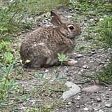 Sachuest Point National Wildlife Refuge Trail, Rhode Island - 2,054 ...