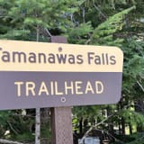 Tamanawas Falls Trail, Oregon - 6,061 Reviews, Map | AllTrails