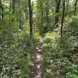 Appalachian Approach Trail to Springer Mountain, Georgia - 1,163 ...