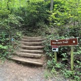 Appalachian Approach Trail to Springer Mountain, Georgia - 1,163 ...