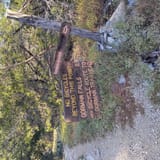 Gorman Falls Trail, Texas - 1,172 Reviews, Map | AllTrails