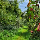 Morgan Run Natural Environmental Area Trails, Maryland - 397 Reviews ...