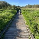 North Creek Trail, Washington - 557 Reviews, Map | AllTrails