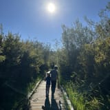 North Creek Trail, Washington - 557 Reviews, Map | AllTrails